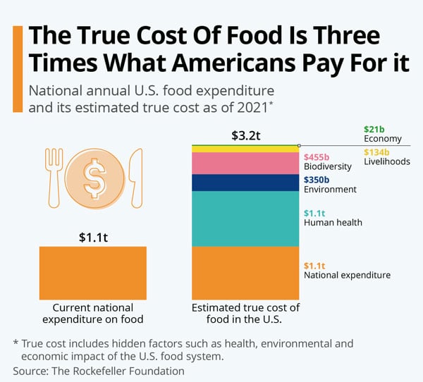 The true cost of food and the pillars of sustainable gastronomy