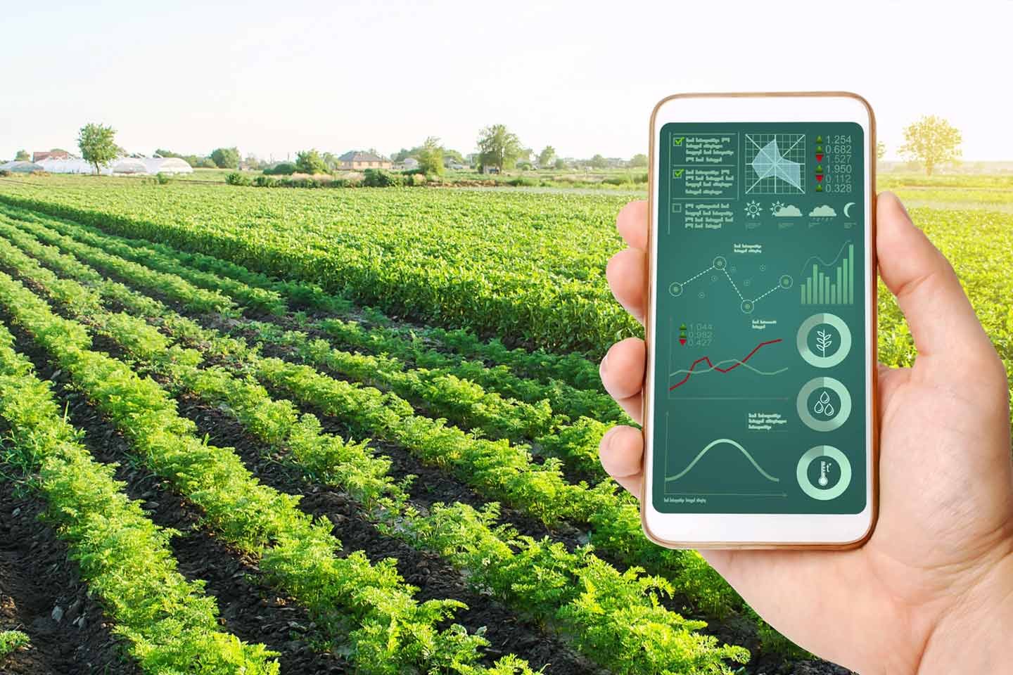 Hospitality Trends: Weather effects on tourism