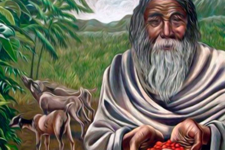 The evolution of coffee culture: From bean to cup to lifestyle