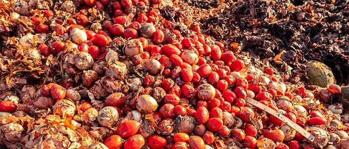 How to Reduce Food Waste in Restaurants