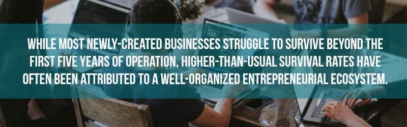 Is an Entrepreneurial Ecosystem Beneficial for Startups?