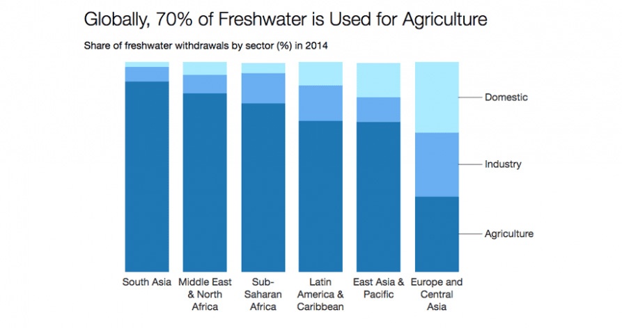 Sustainability and Water Efficiency: Lessons From Down Under